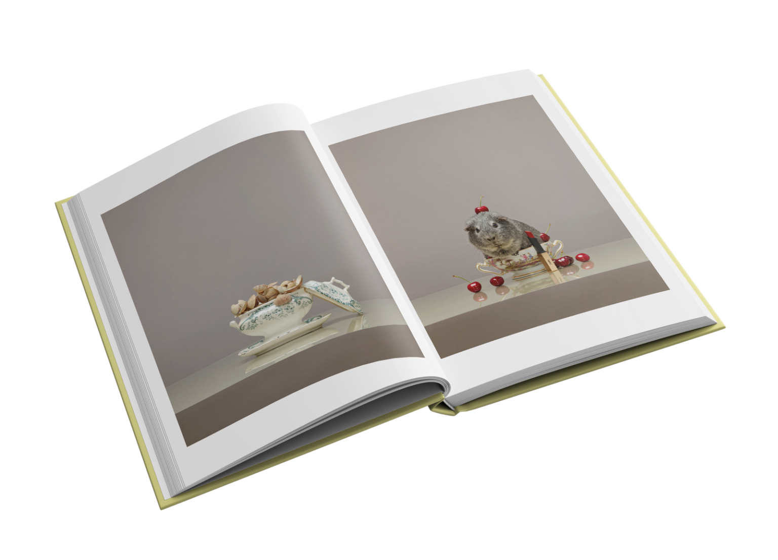 Snap Collective – Showcase Your Creativity with Premium, Eco-Conscious ...